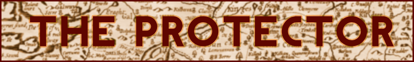 The Protector [Ongoing Fanfic] | SkullKnight.net - Berserk news and ...